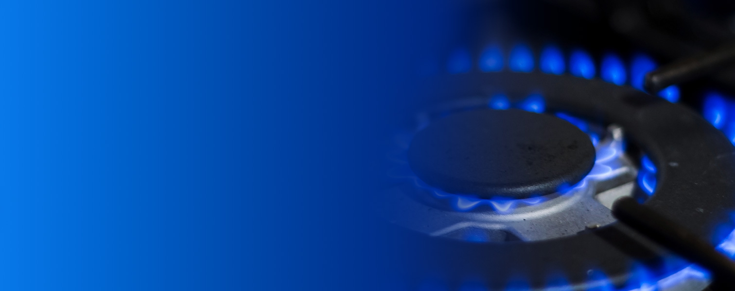 Offerte Luce, Gas e Servizi: Scopri Edison Energia | Edison Energia